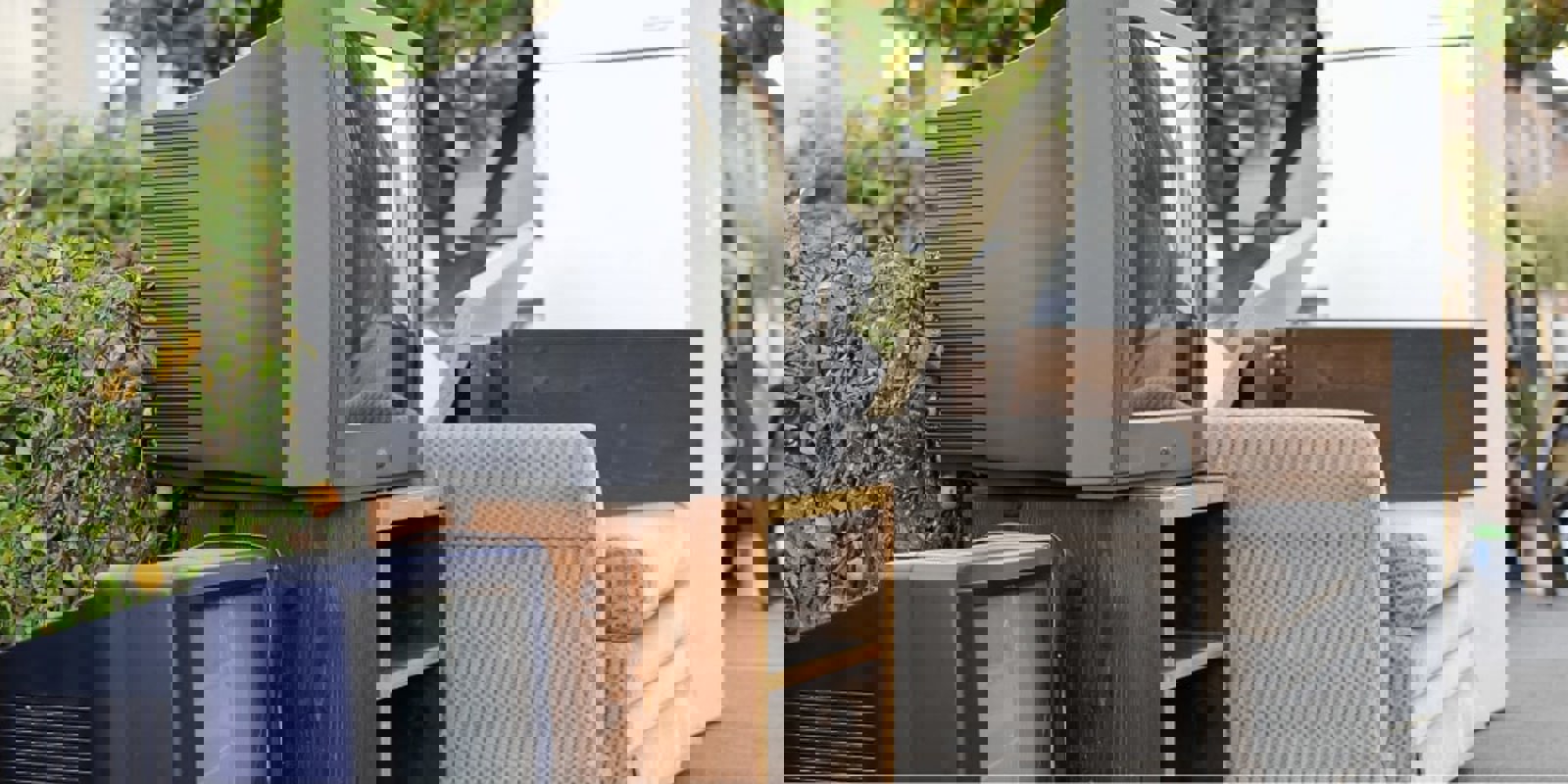 Trash Pickup in Dayton, OH | Rumpke