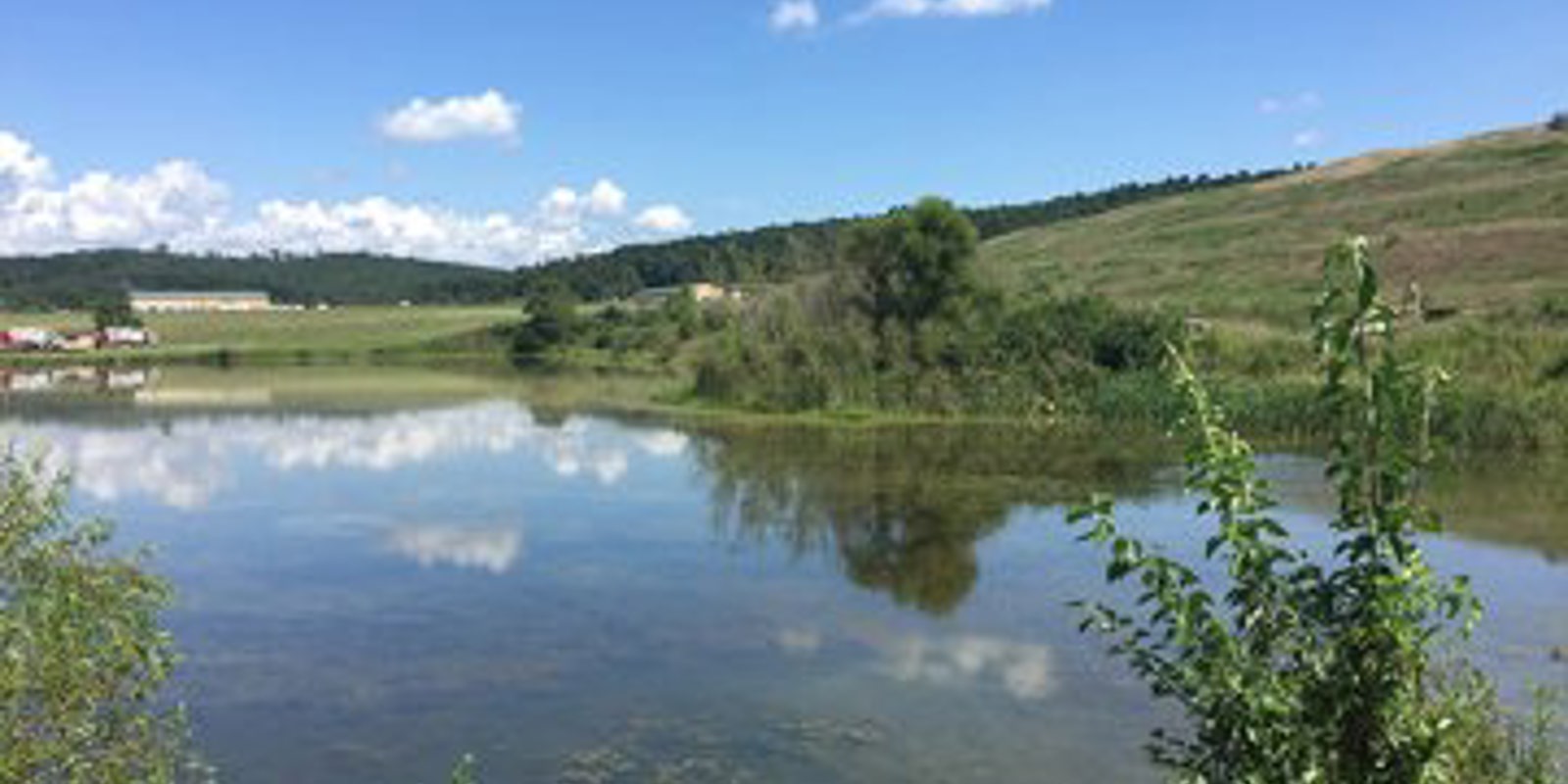 Trash & Recycling Services in Ross County, OH | Rumpke