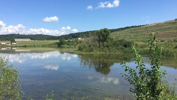 Trash & Recycling Services in Washington County, OH | Rumpke